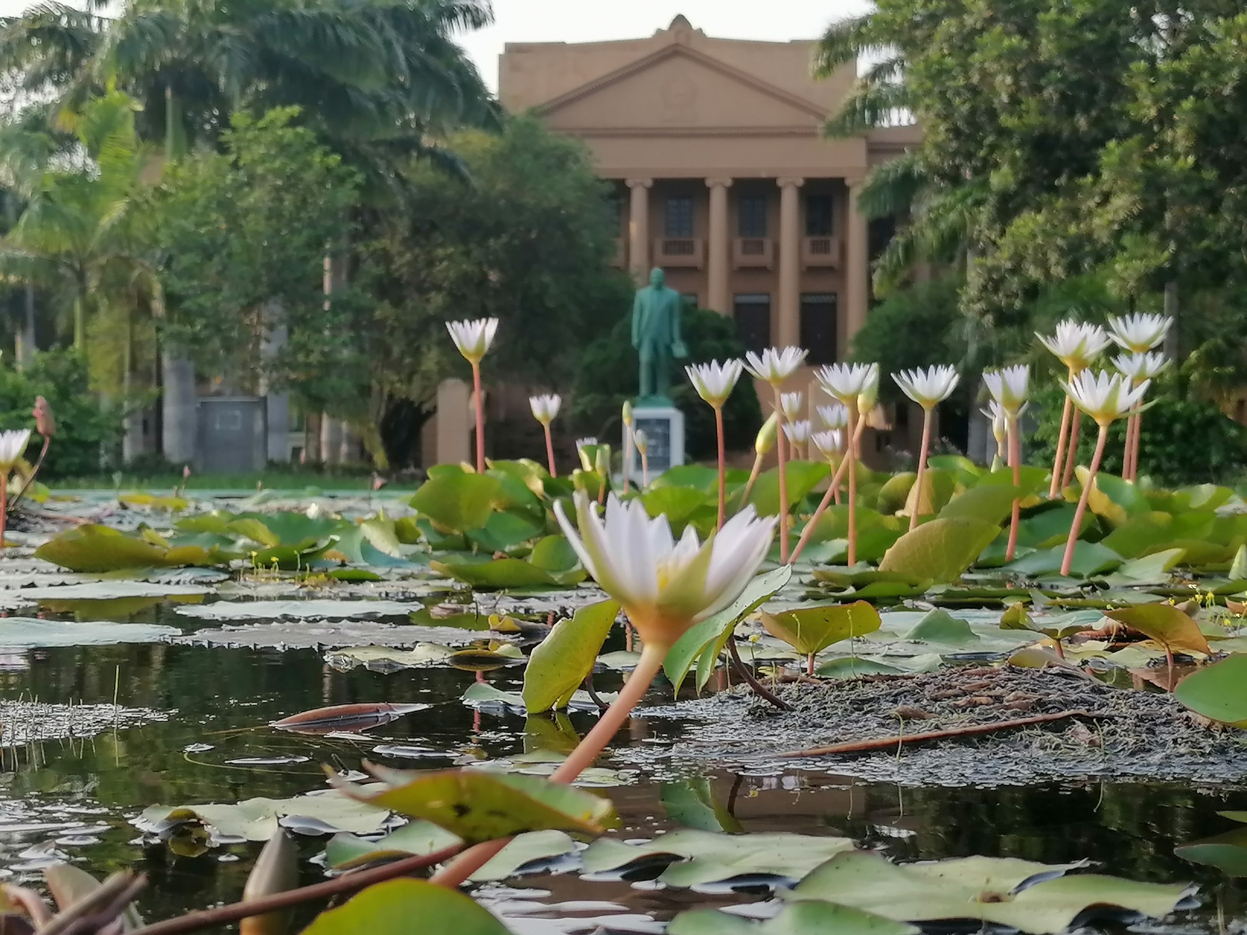 RUSL THM – Enjoy Life